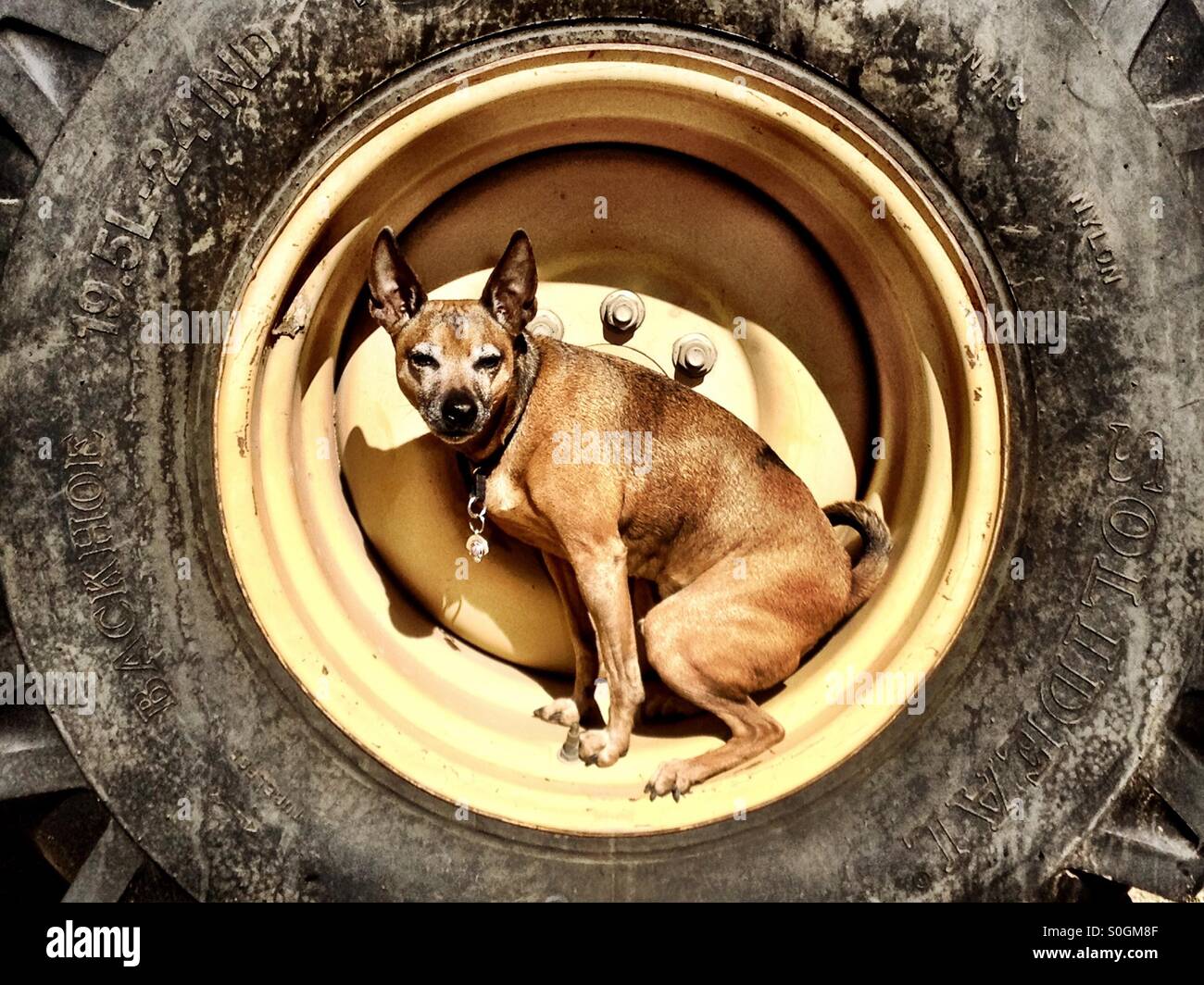 Backhoe up close hi-res stock photography and images - Alamy