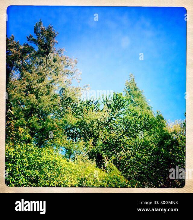 Bermo hi-res stock photography and images - Alamy