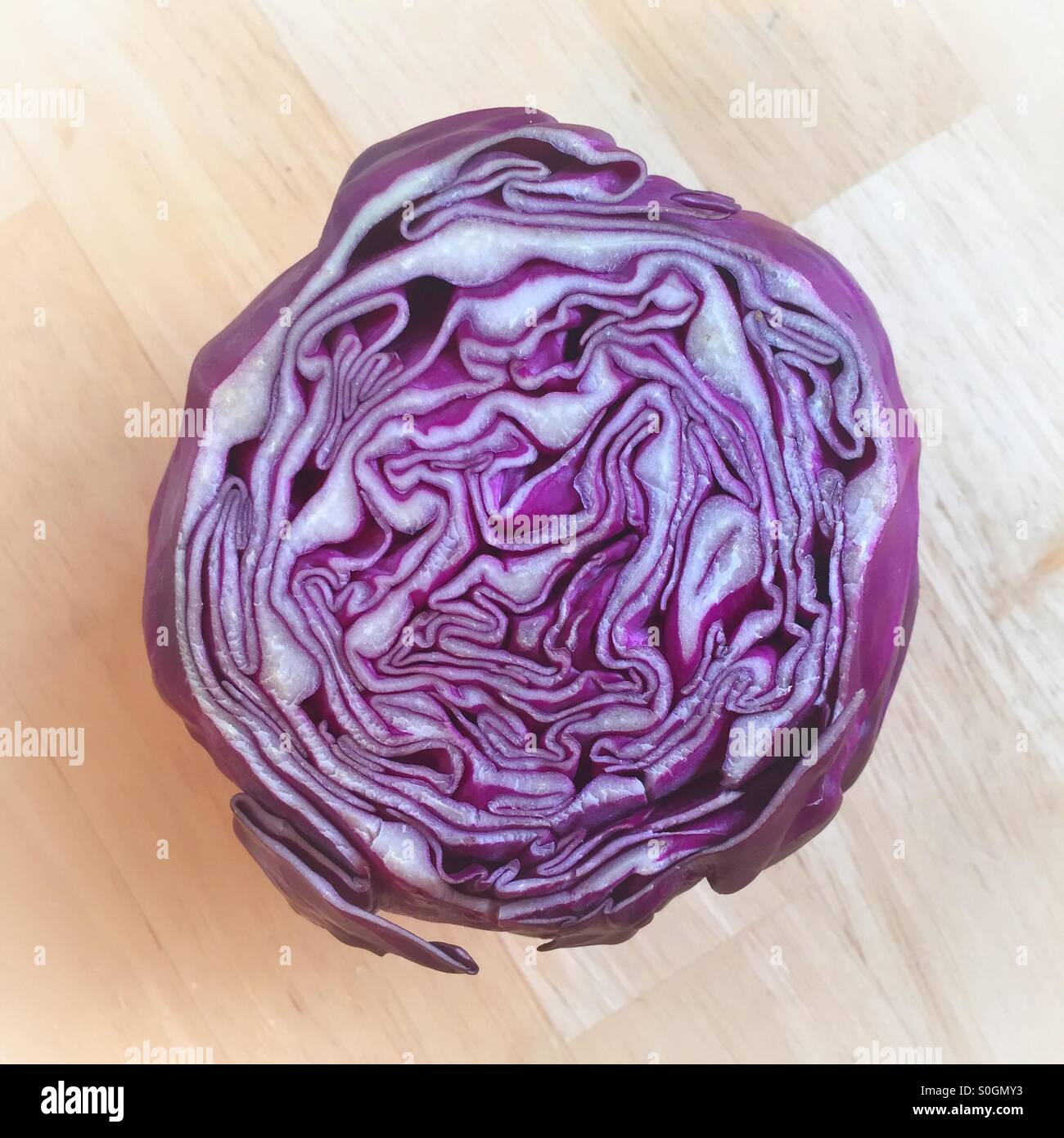 Red cabbage sliced hi-res stock photography and images - Alamy