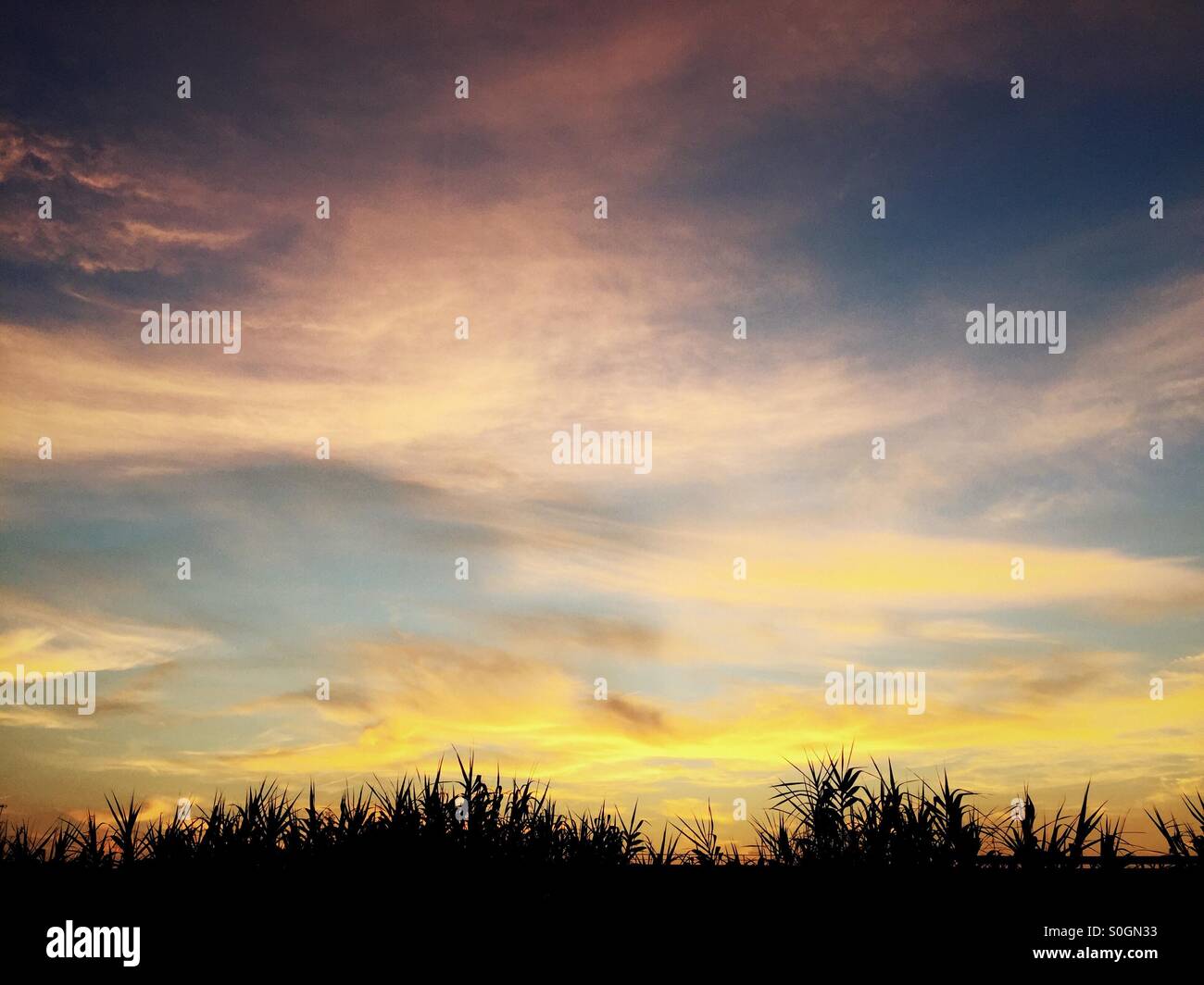Many colors of sunset hi-res stock photography and images - Alamy