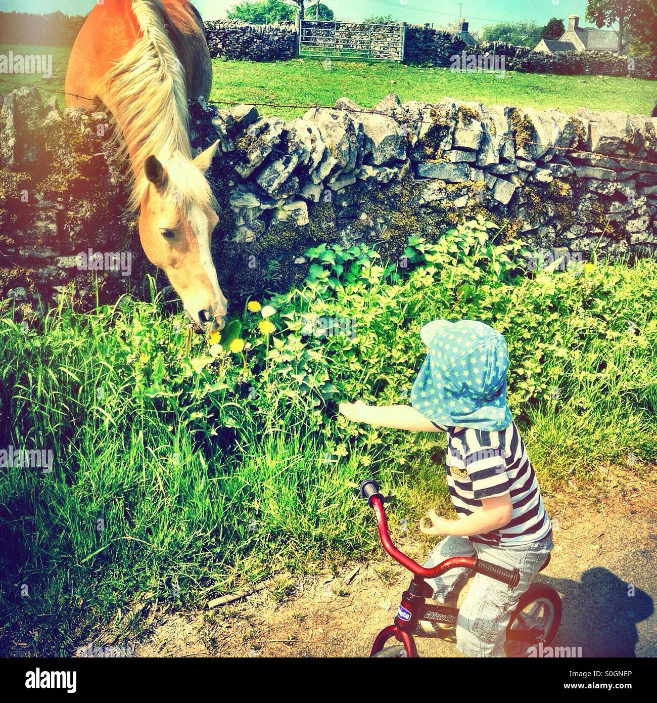 Boy meets horse hi-res stock photography and images - Alamy