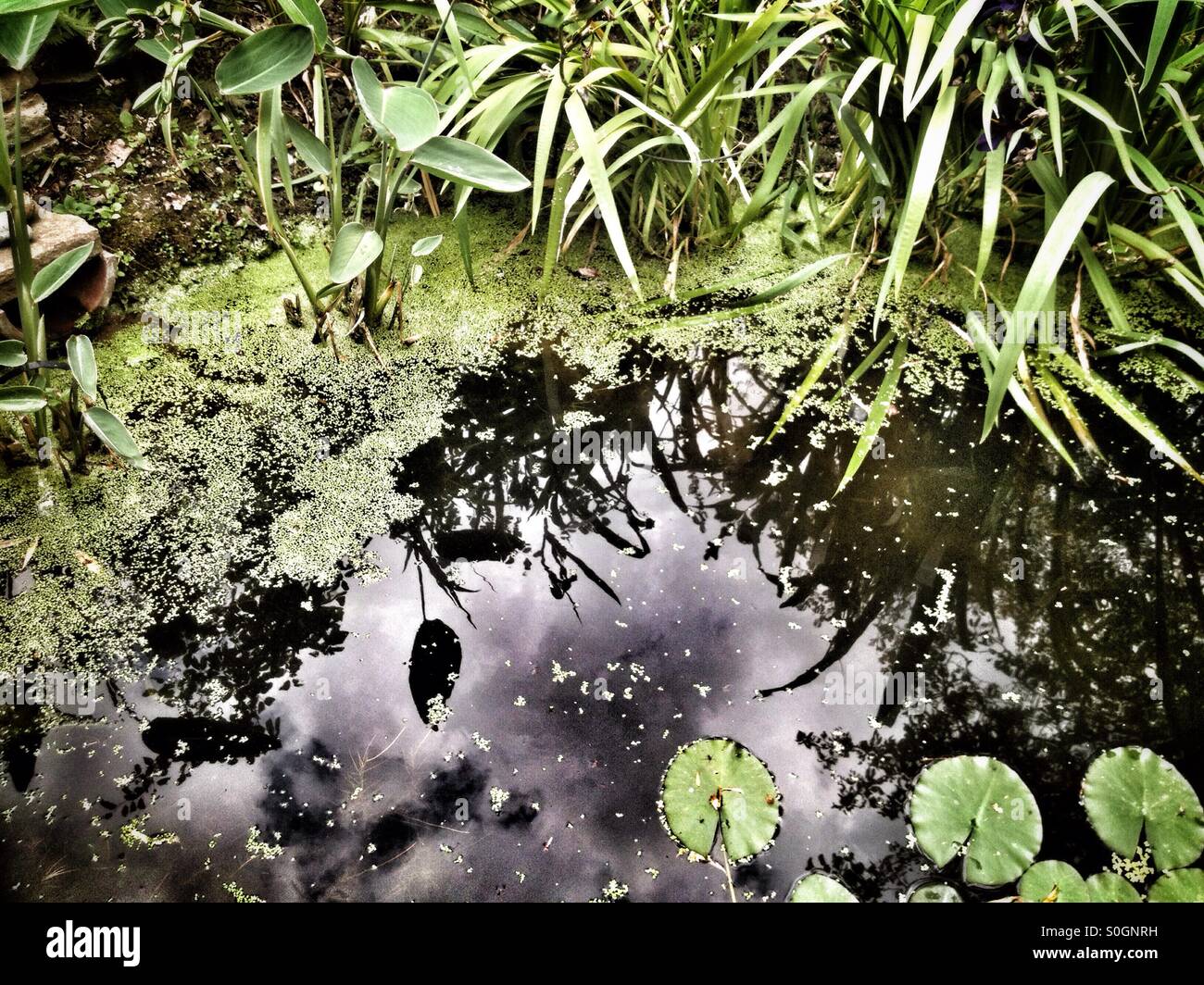Reflections and shadows hi-res stock photography and images - Alamy