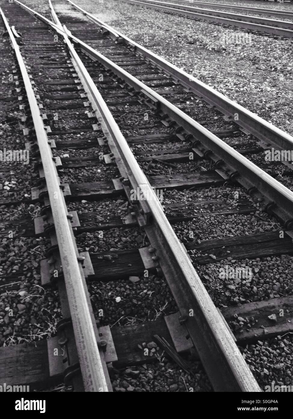 Merging railroad tracks, in black and white Stock Photo - Alamy