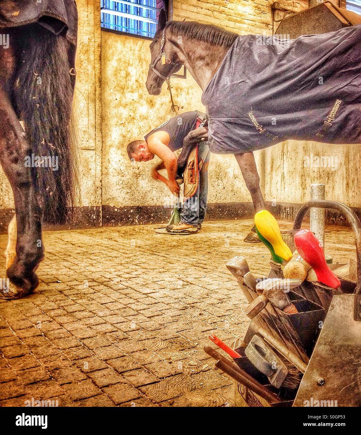 A farrier and his tools Stock Photo - Alamy