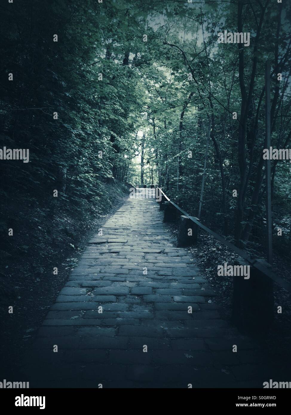 Empty path in the park Stock Photo - Alamy