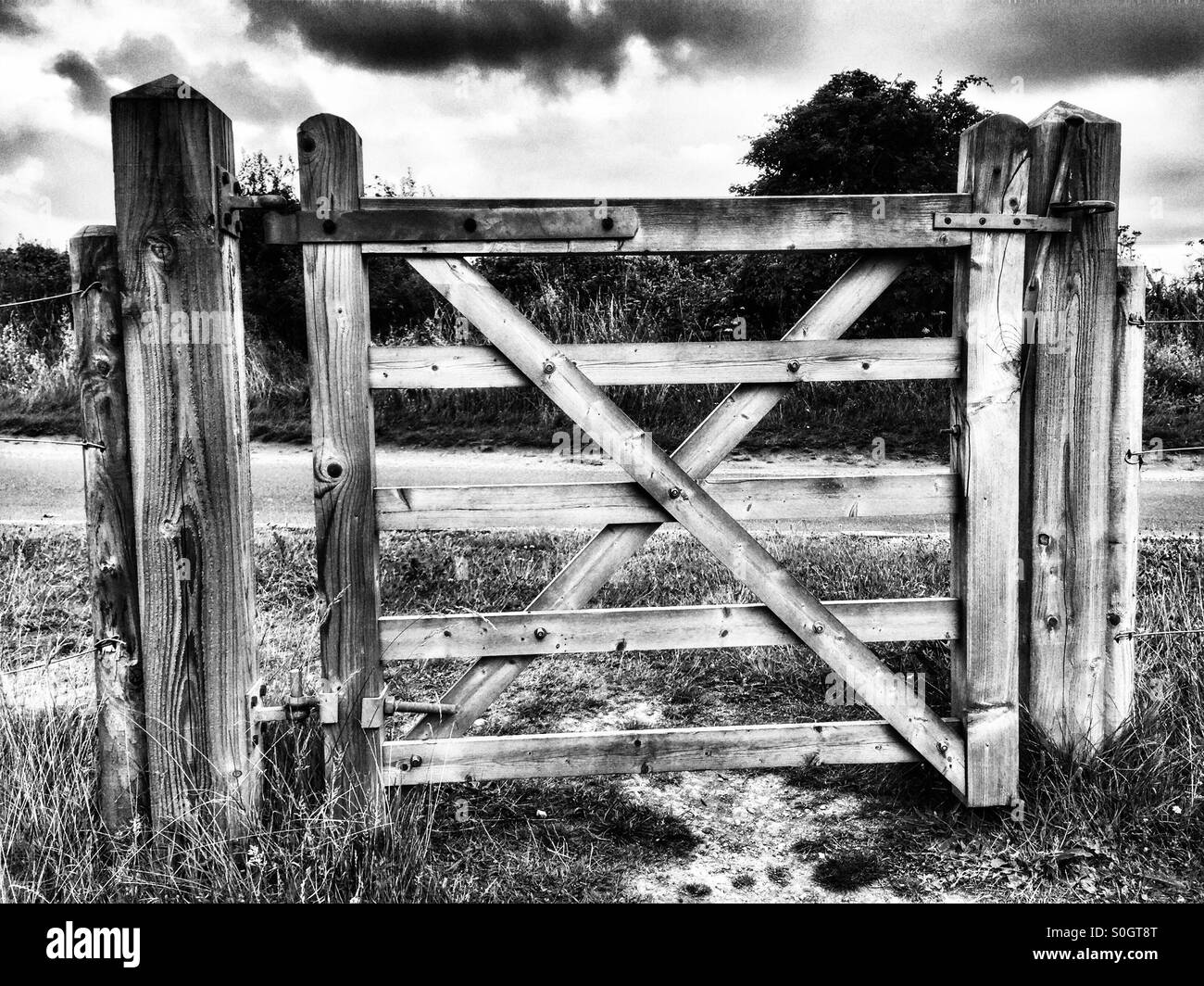 Sheep at gate Black and White Stock Photos & Images - Alamy