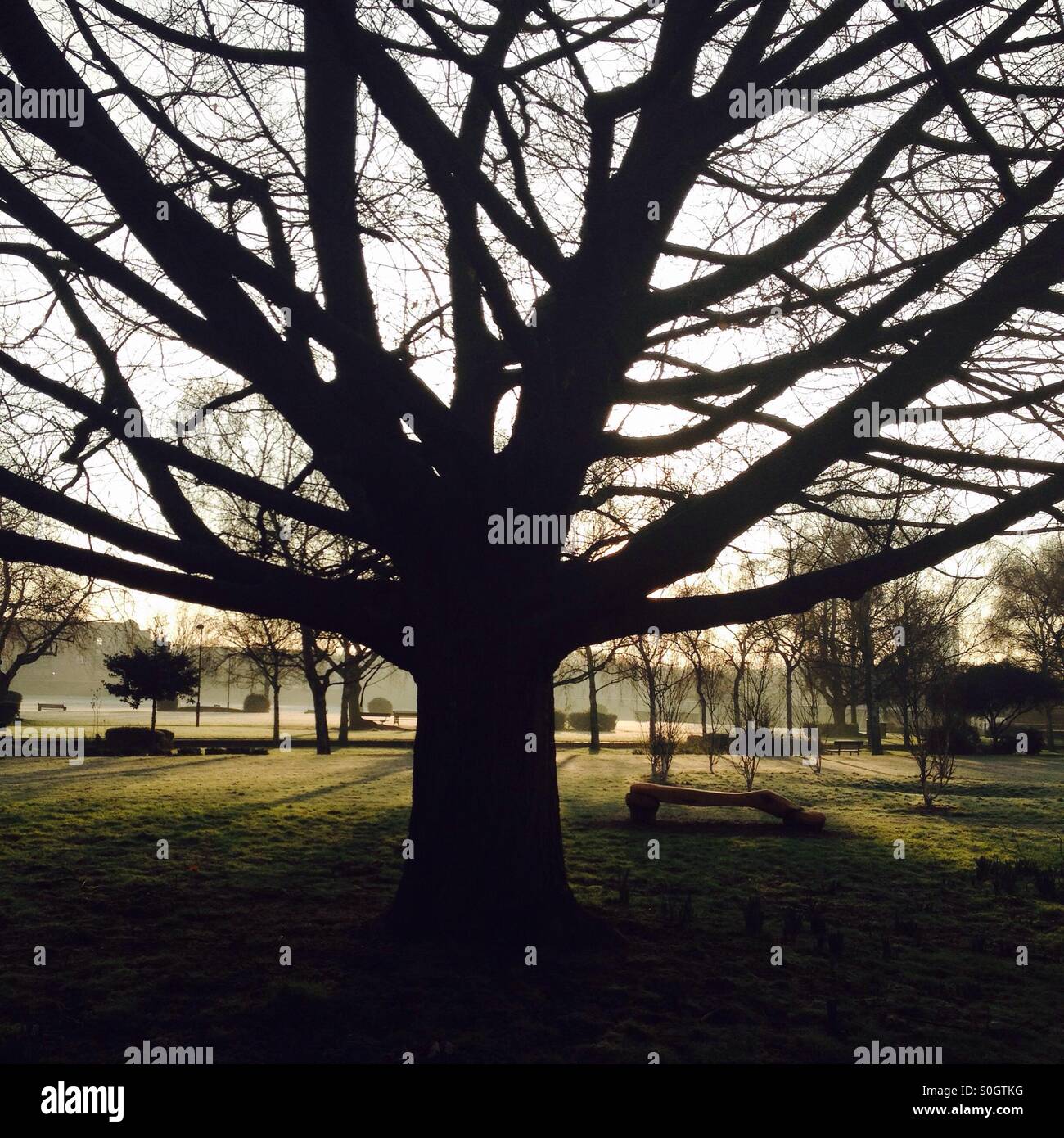Haggerston Park High Resolution Stock Photography and Images - Alamy
