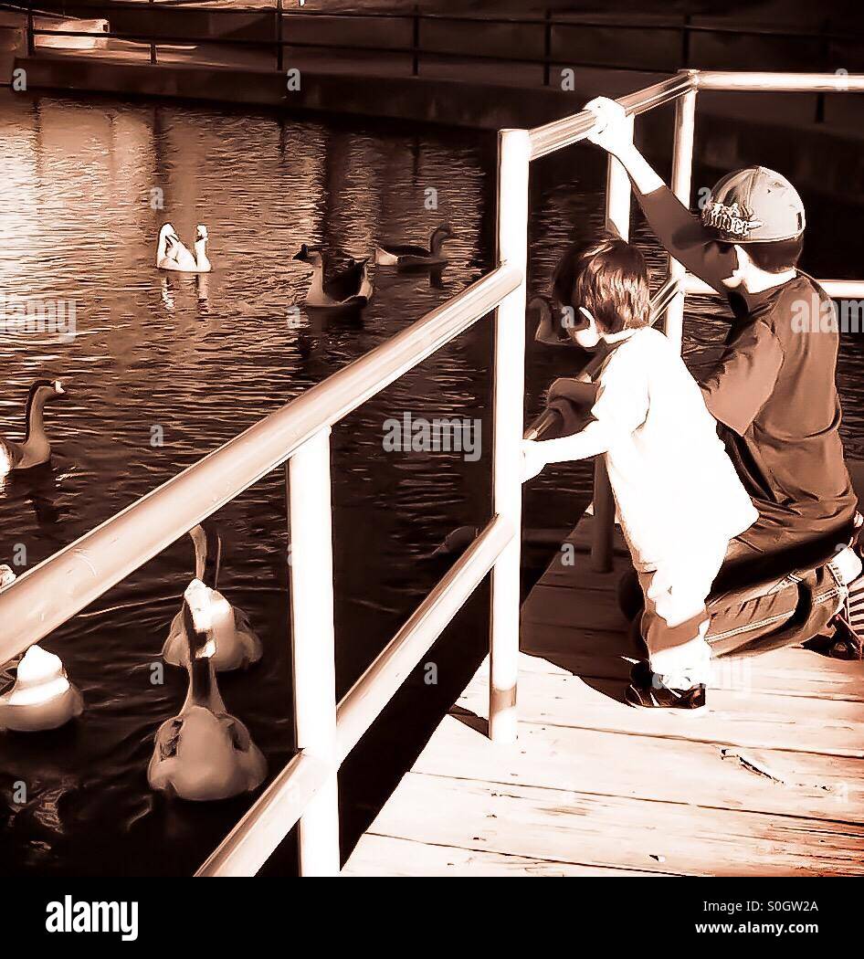 Talking geese hi-res stock photography and images - Alamy