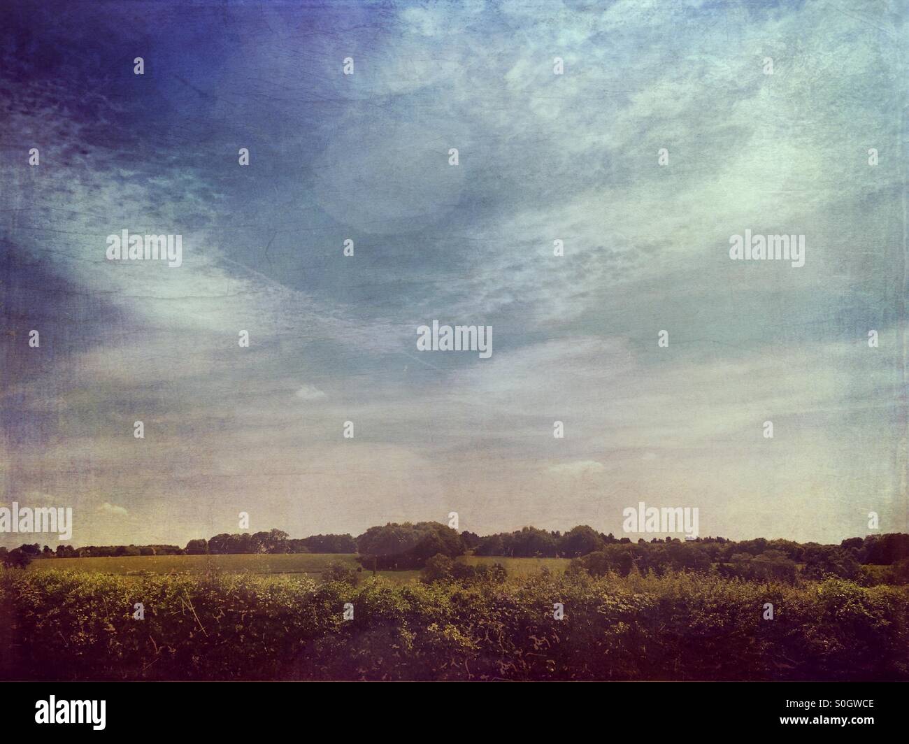 Hazy summers day hi-res stock photography and images - Alamy