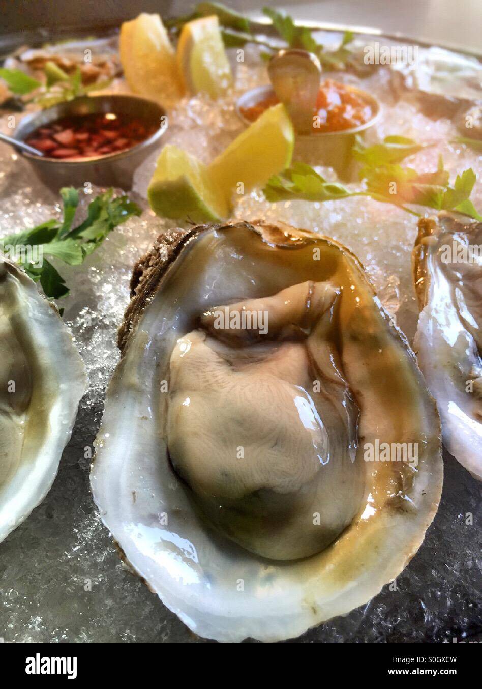 Platter of fresh raw oysters on the half shell Stock Photo - Alamy