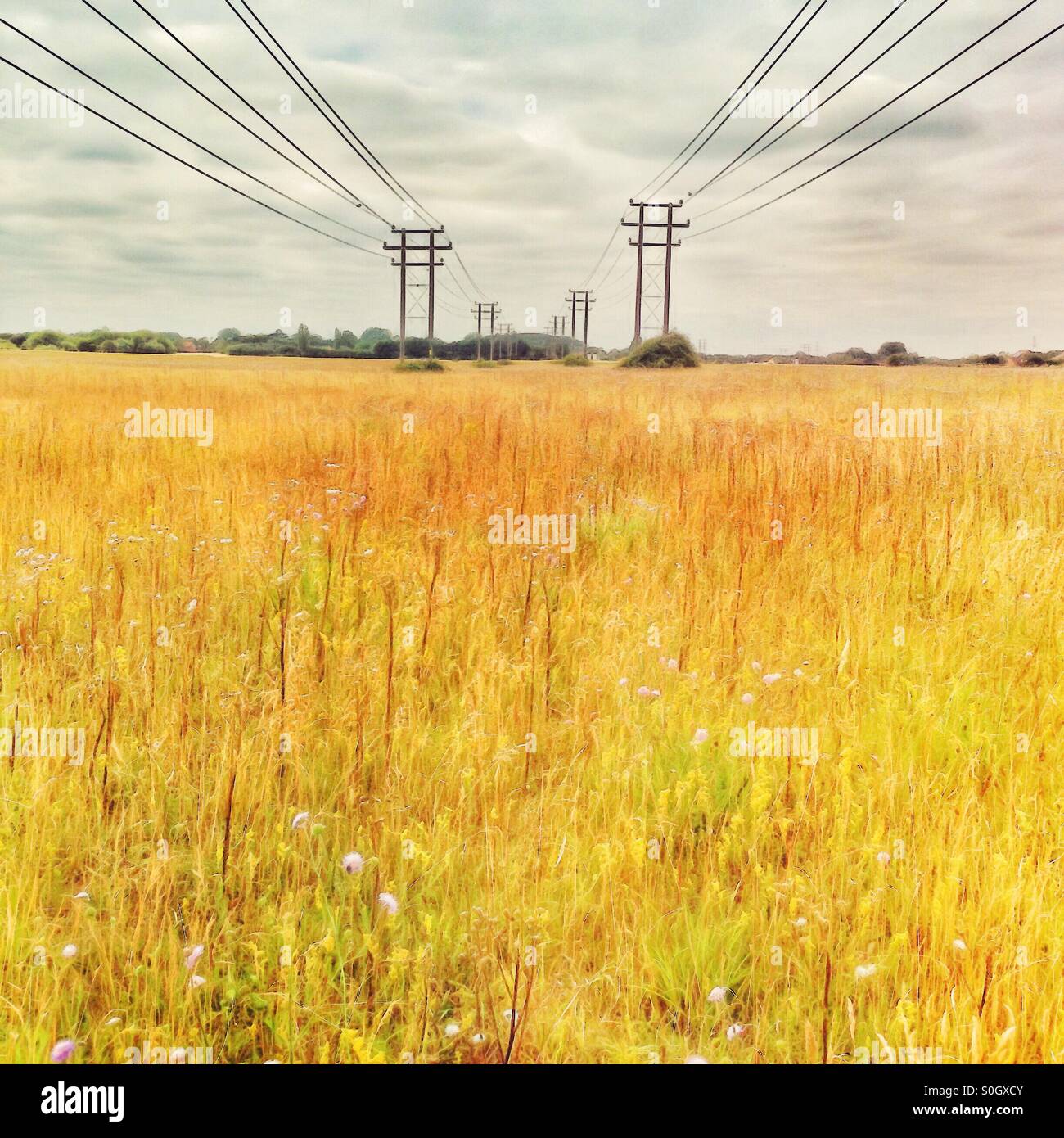 Power lines over wild land in Oxfordshire Stock Photo - Alamy