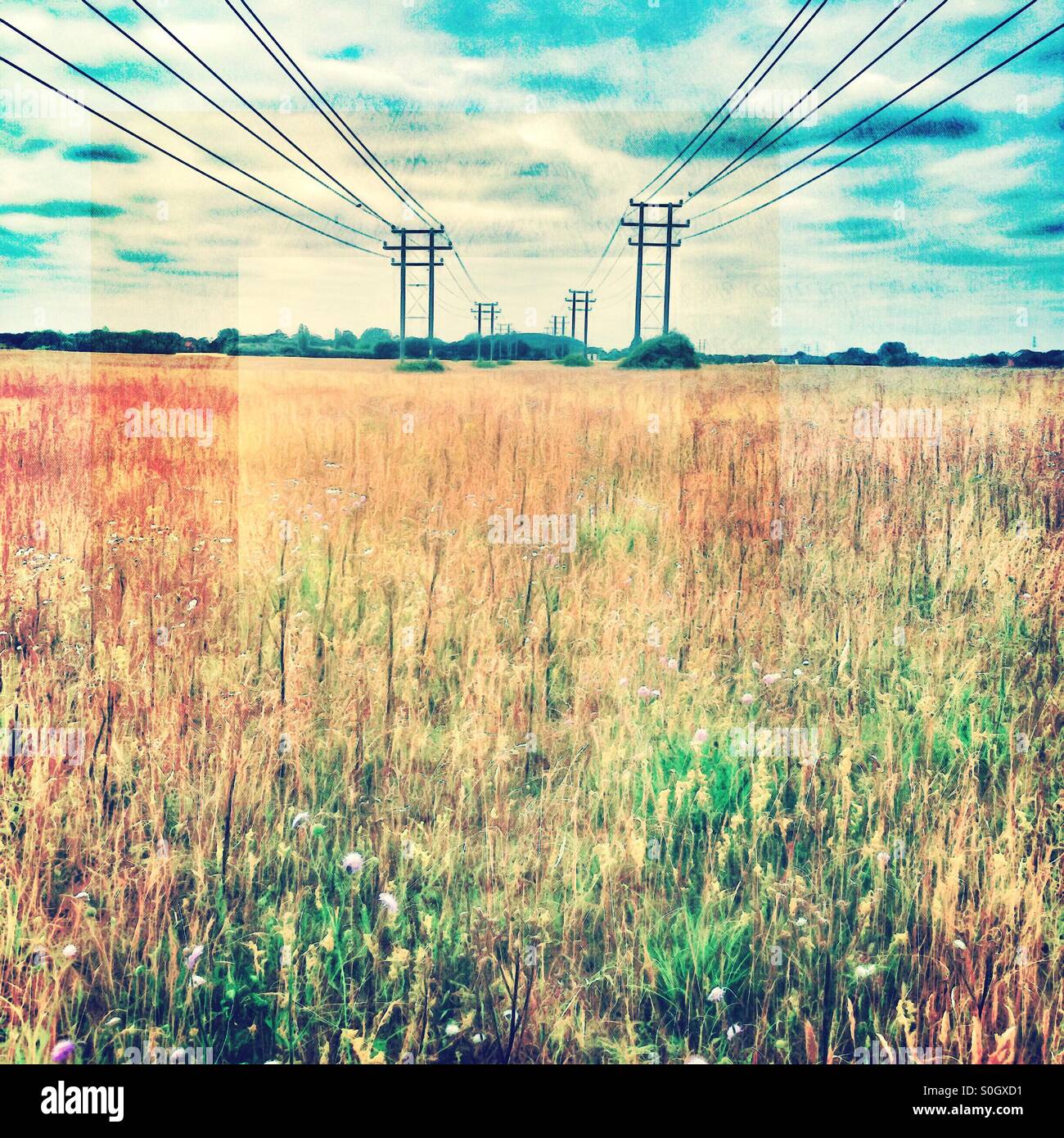Power lines over wild lands Stock Photo - Alamy