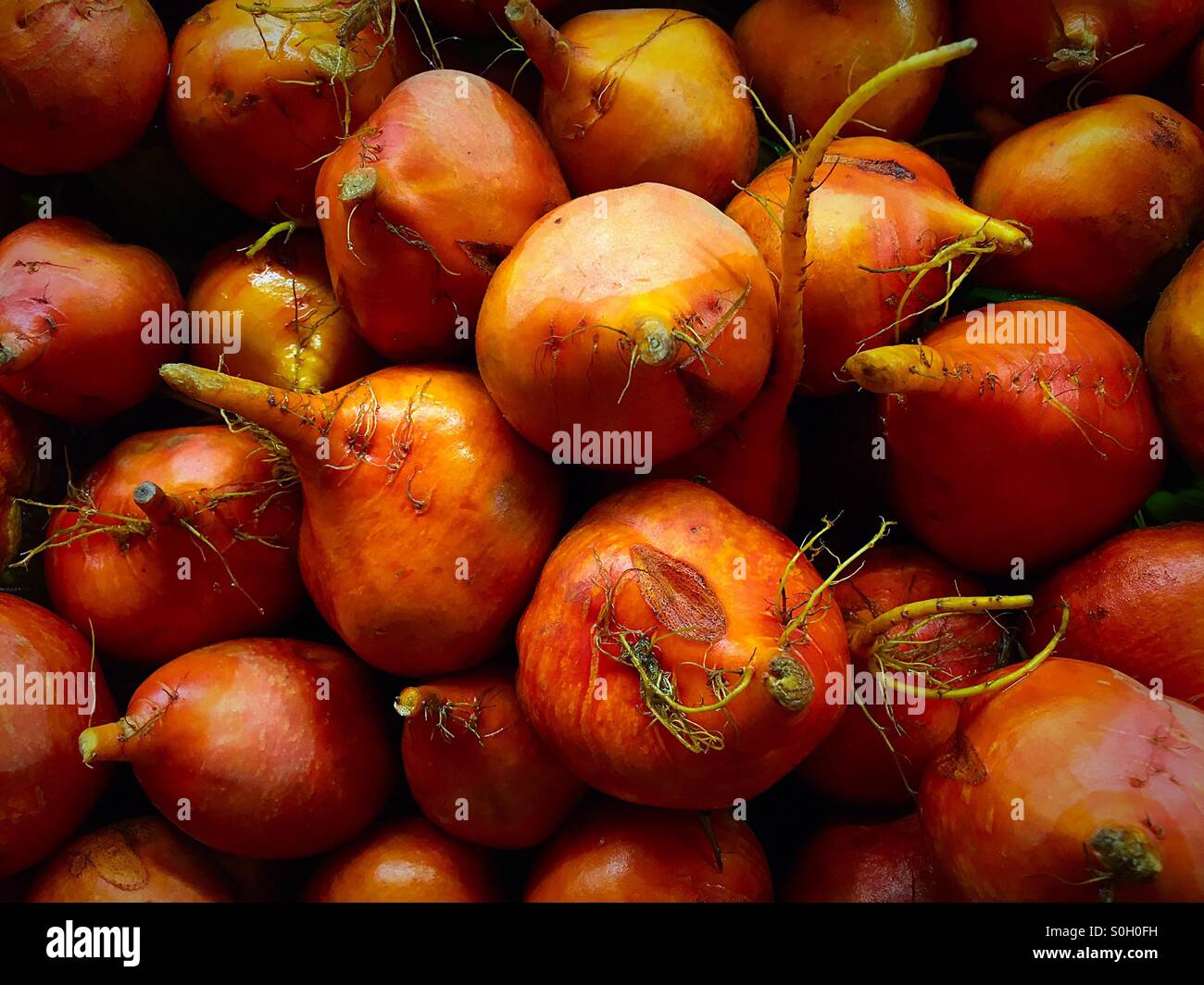 Gold beets hi-res stock photography and images - Alamy