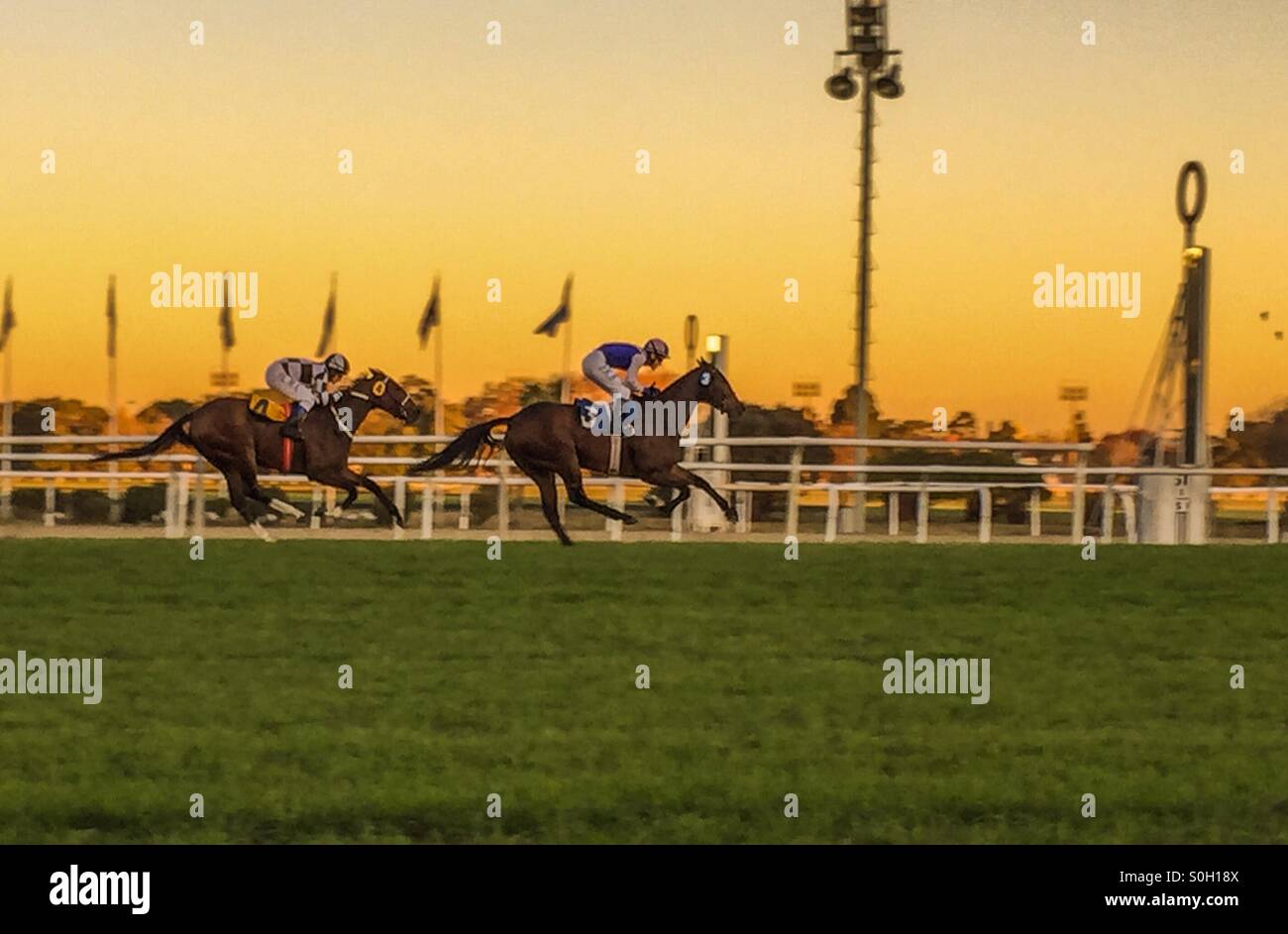 Horse race hi-res stock photography and images - Alamy