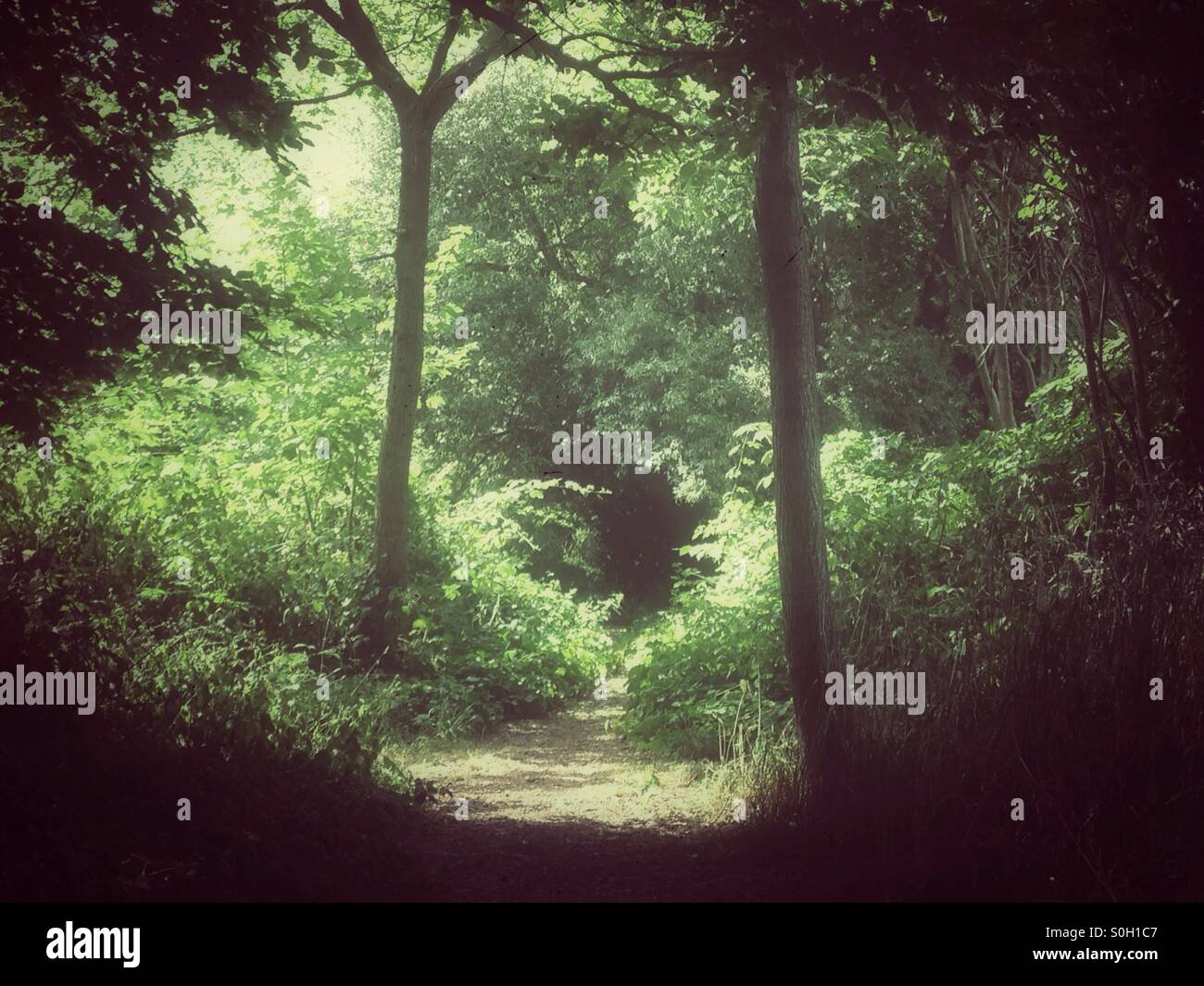 Bishops park hi-res stock photography and images - Alamy