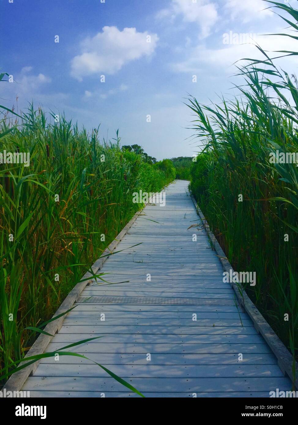 Sea pathway hi-res stock photography and images - Alamy
