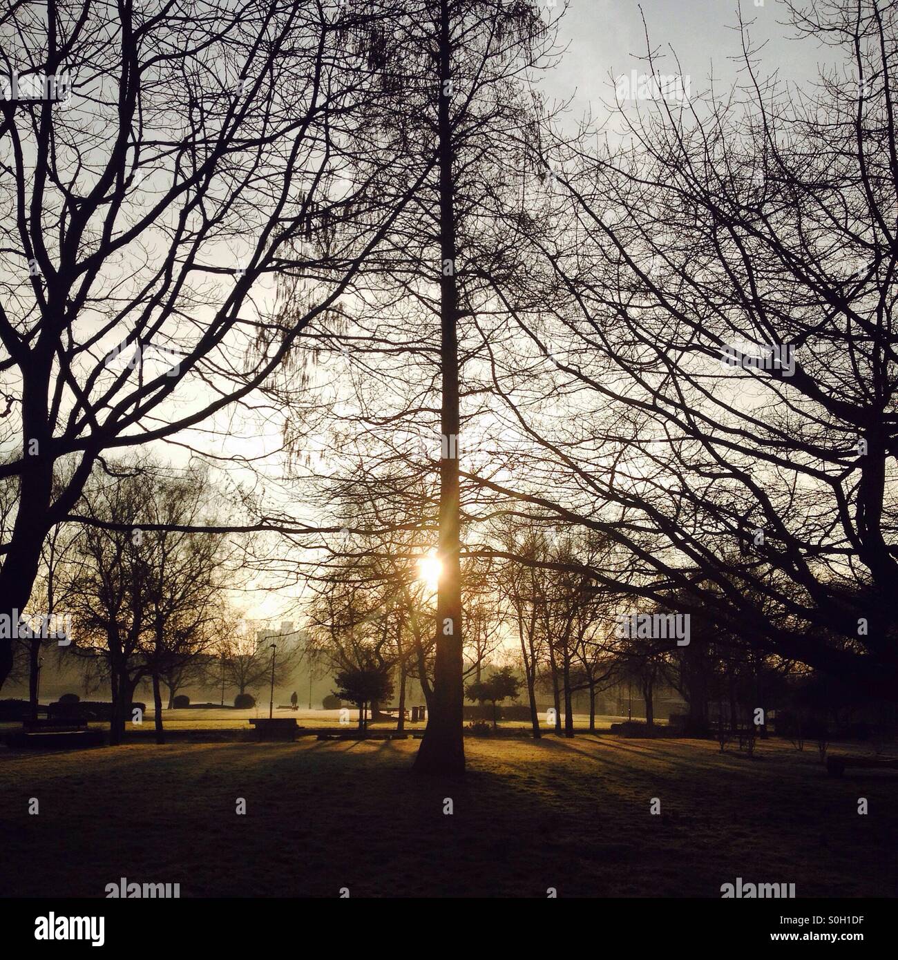 Haggerston park london hi-res stock photography and images - Alamy