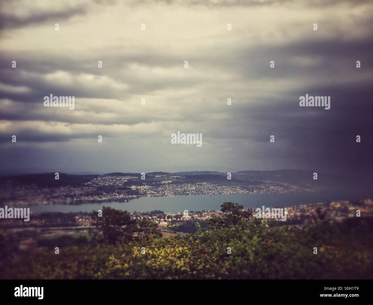 Zurich forest hi-res stock photography and images - Alamy