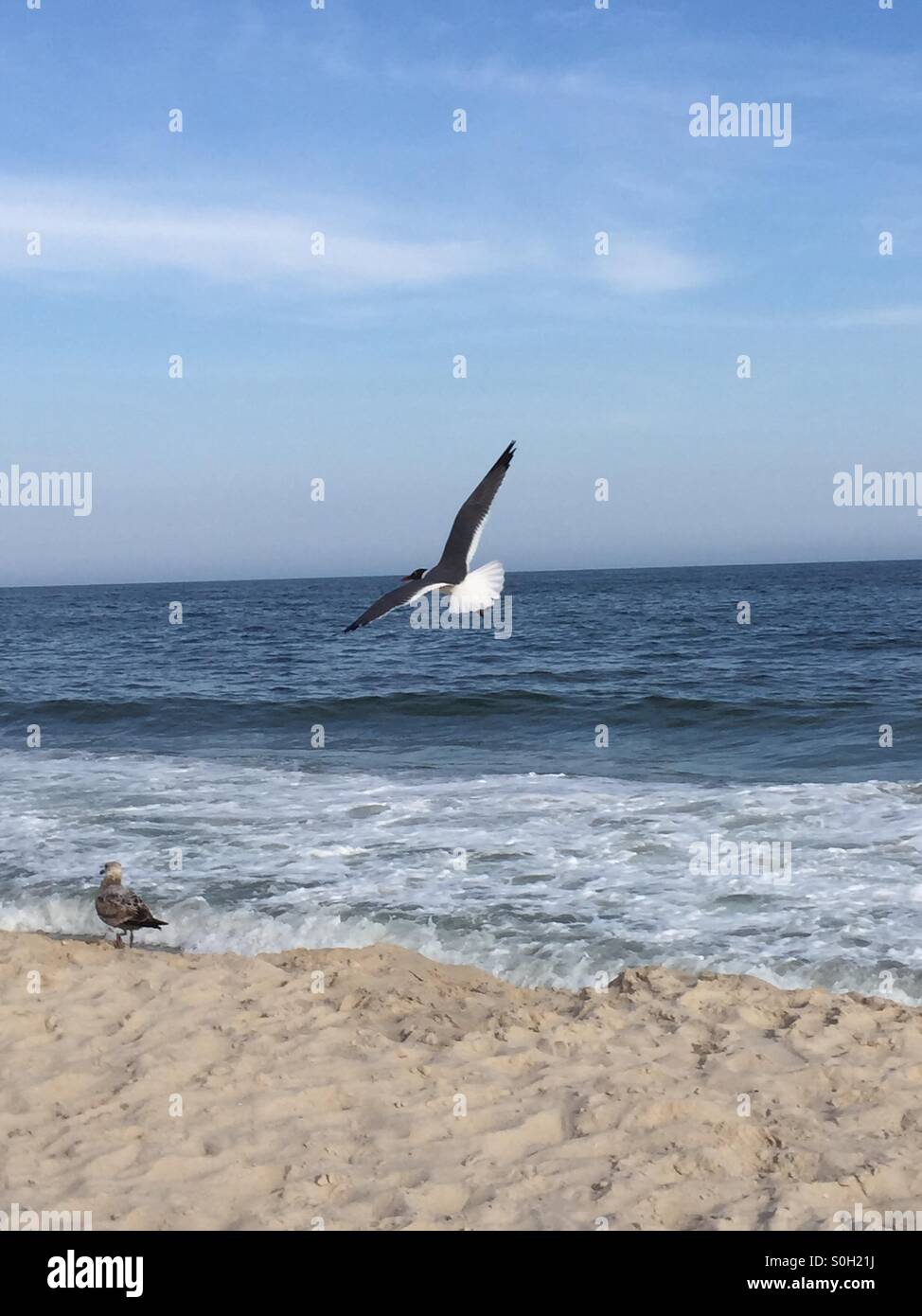 Robert moses state park hi-res stock photography and images - Alamy