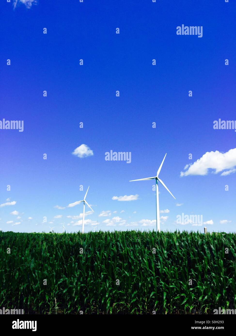 Turbine farm corn renewable energy hi-res stock photography and images ...
