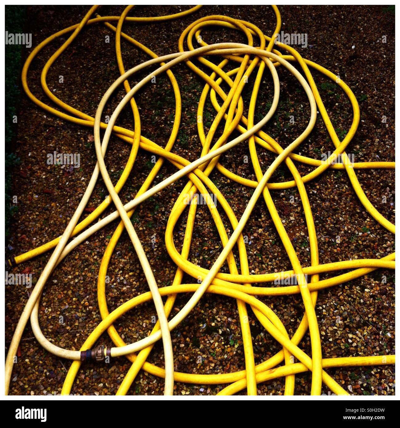 Tangled Hose High Resolution Stock Photography and Images - Alamy