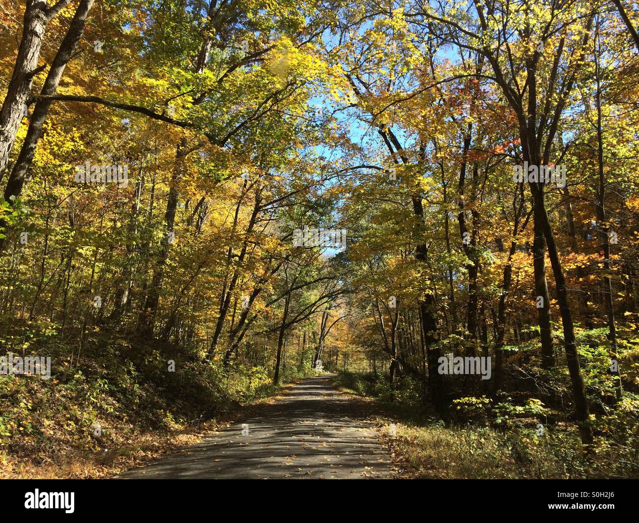 Fall in Indiana Stock Photo - Alamy