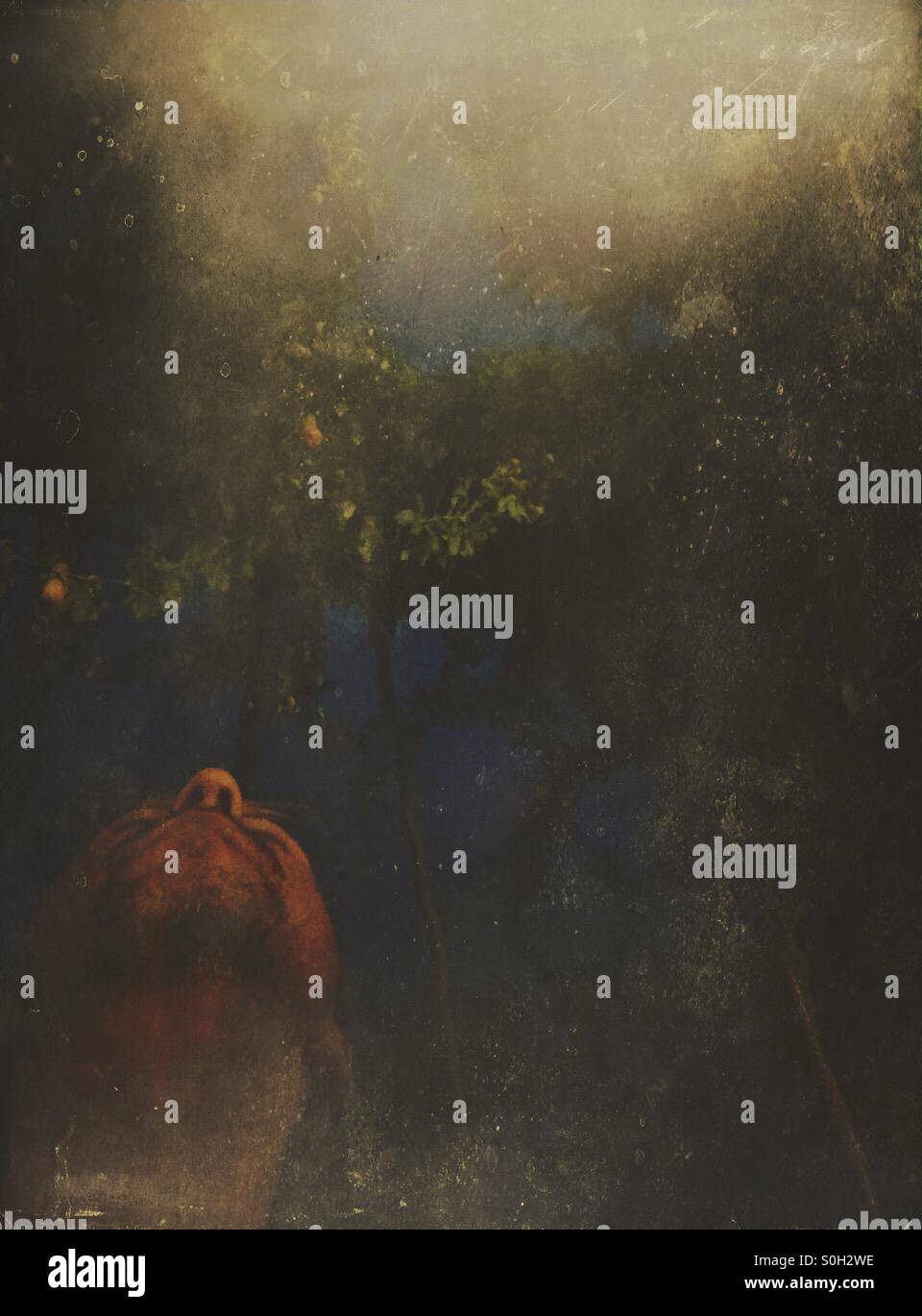 Bright light and heaven hi-res stock photography and images - Alamy