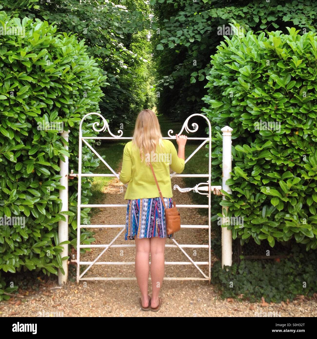 Avenue trees gate hi-res stock photography and images - Alamy