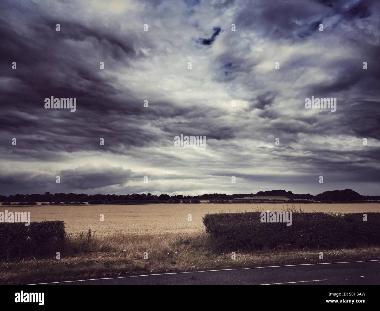 Washed-out crop fields under a stormy sky Stock Photo - Alamy