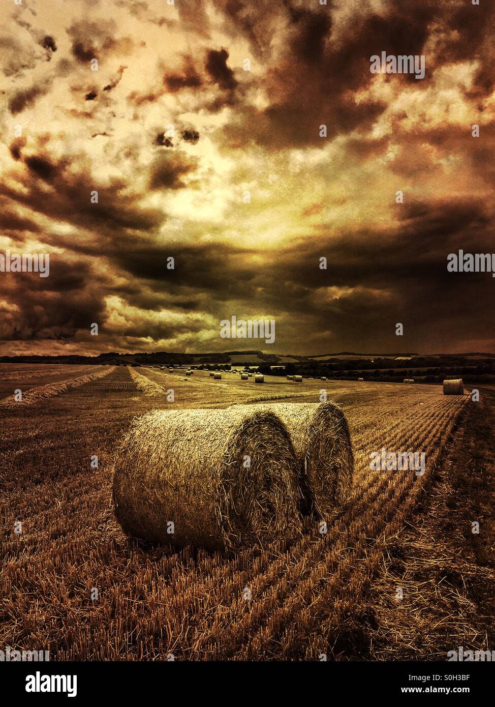 Harvesting hay july hi-res stock photography and images - Alamy