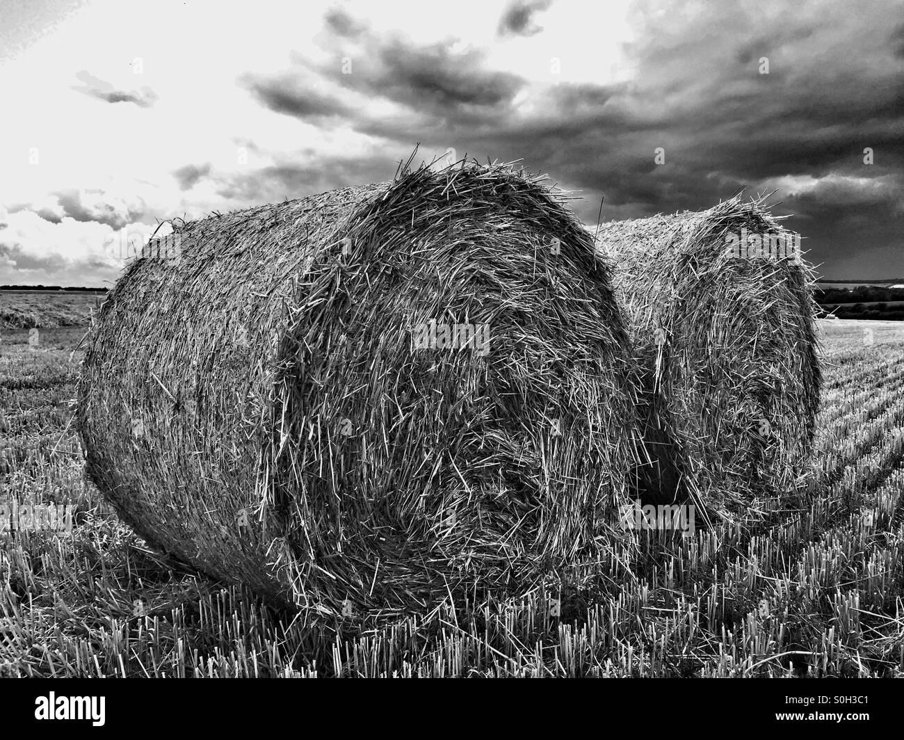 Hay Black and White Stock Photos & Images - Alamy