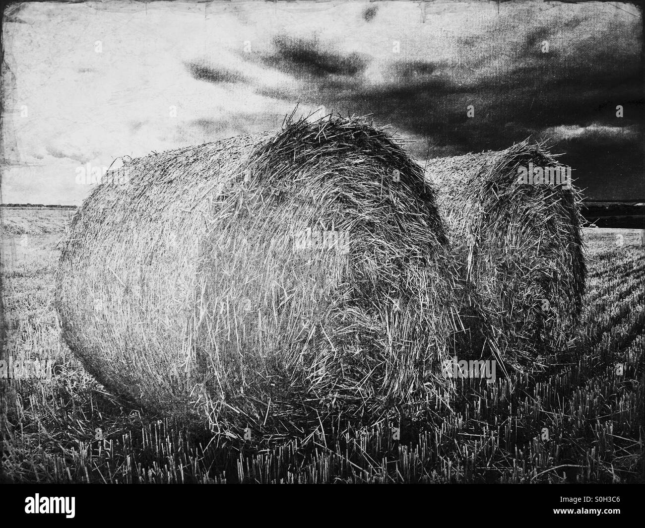 Black and white hay bales hi-res stock photography and images - Alamy
