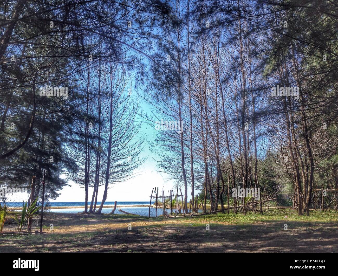 all about nature Stock Photo - Alamy