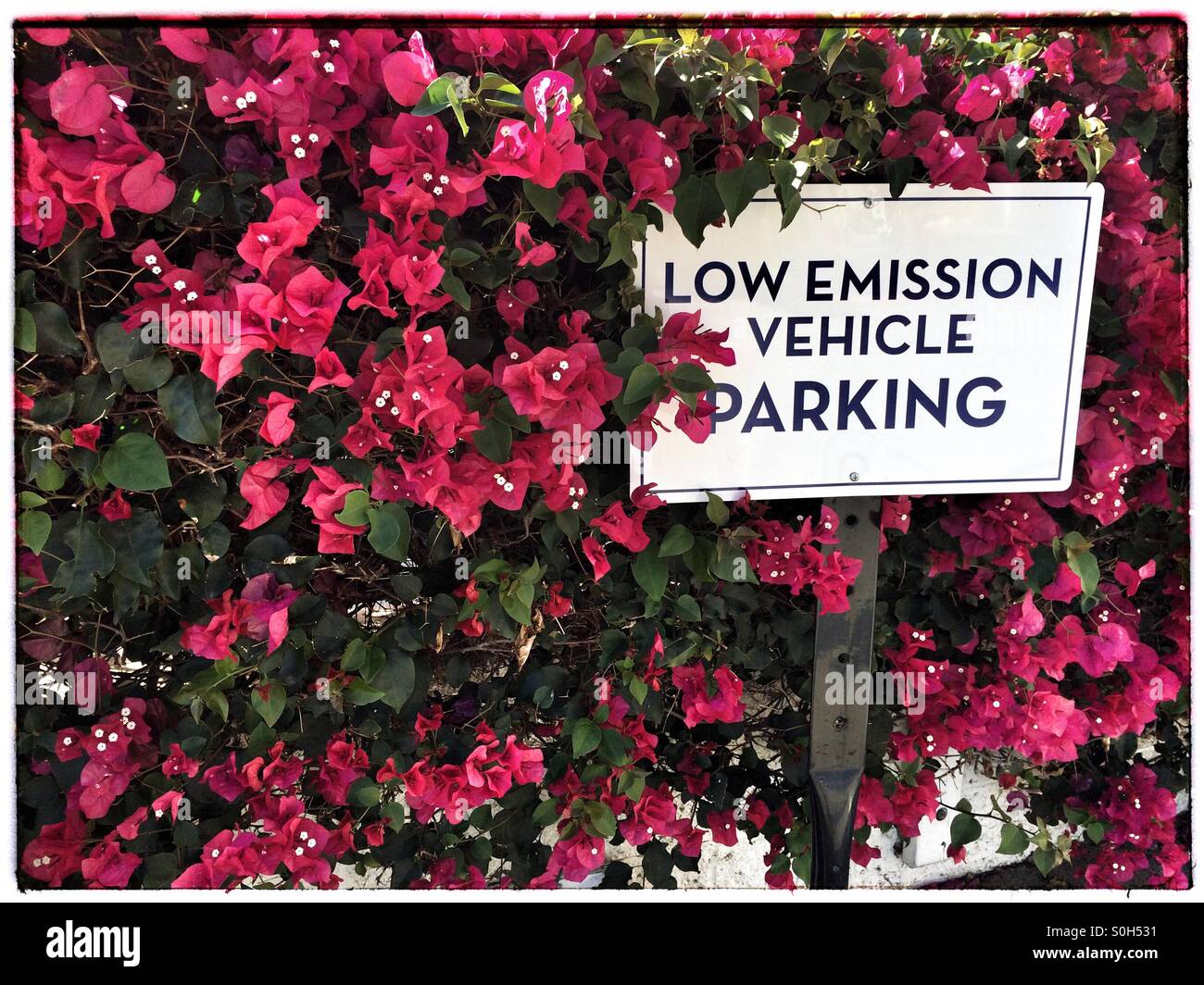 Co2 emission vehicle hi-res stock photography and images - Alamy