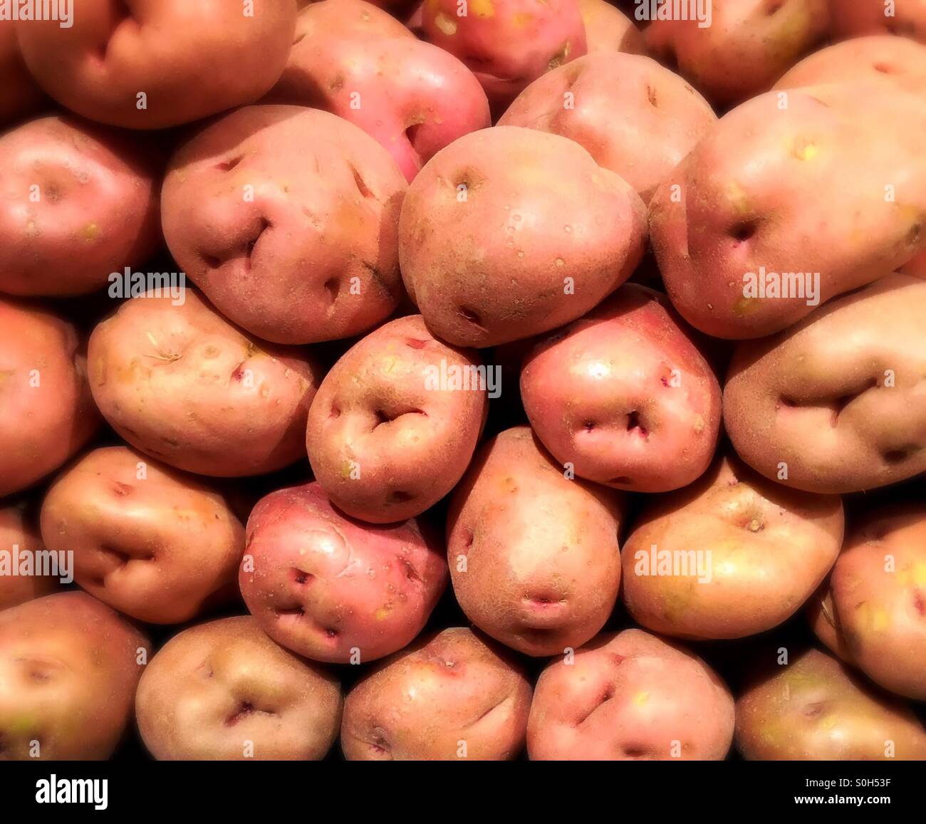 Red potatoes in produce section of the grocery store Stock Photo - Alamy