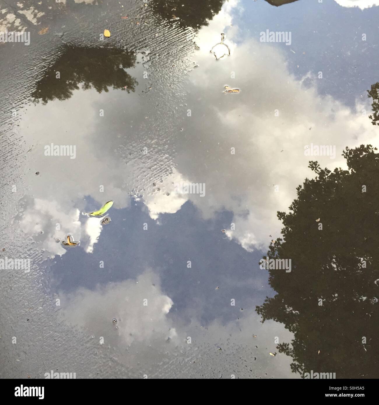 Water on concrete hi-res stock photography and images - Alamy