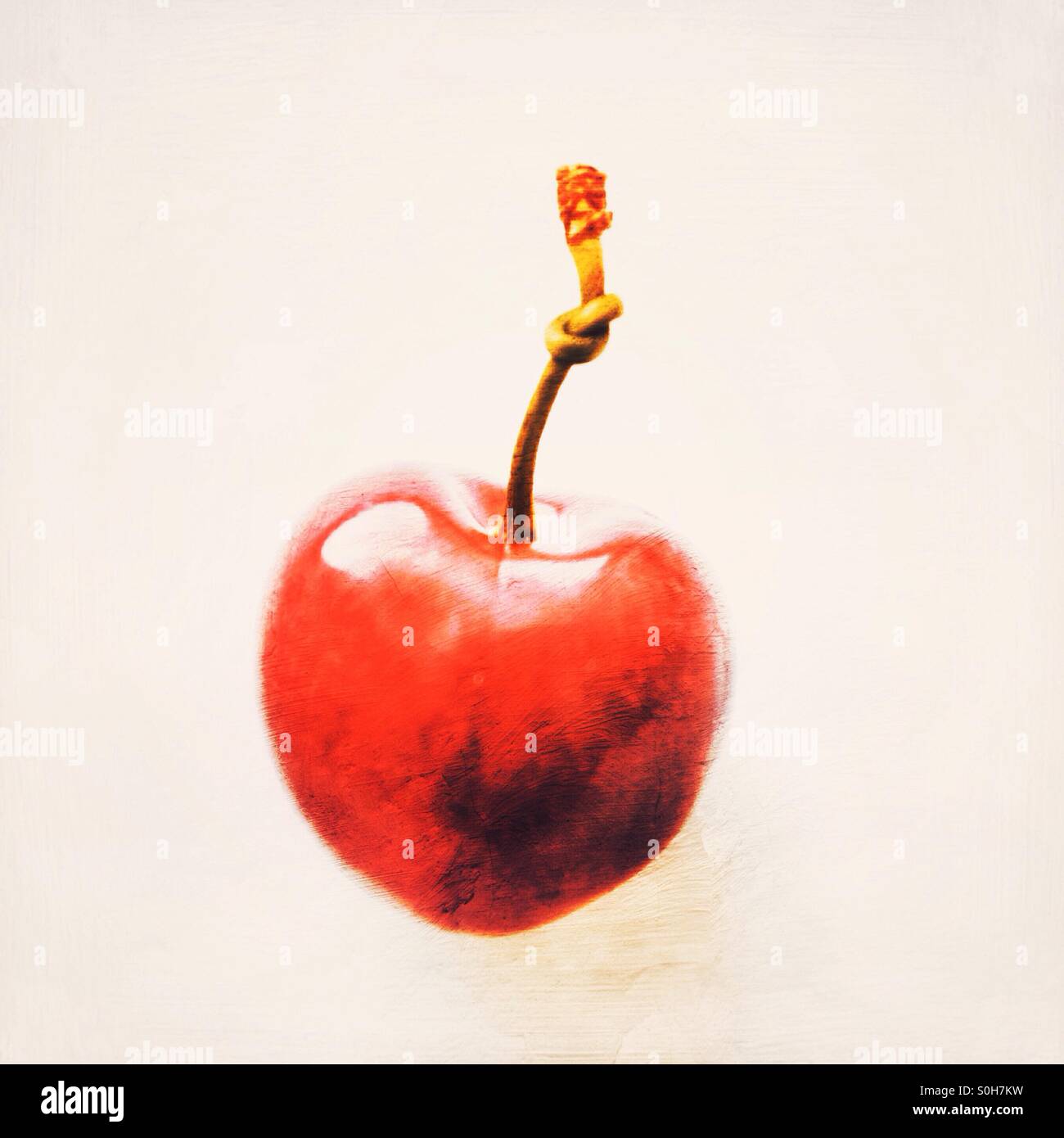 A cherry with a knot tied in the stem Stock Photo - Alamy