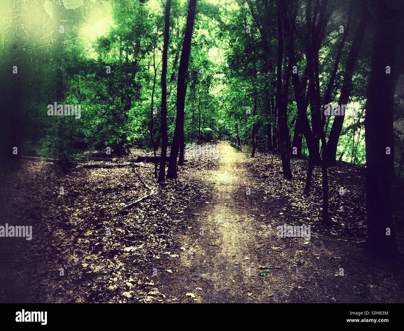 Narrow bike path hi-res stock photography and images - Alamy