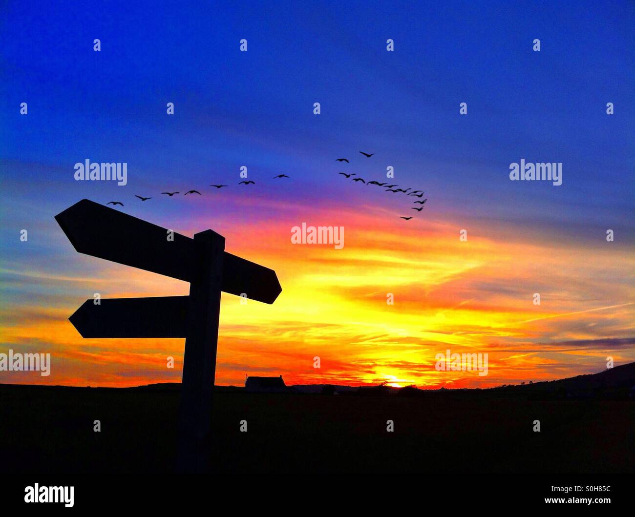Which way at sunset Stock Photo - Alamy