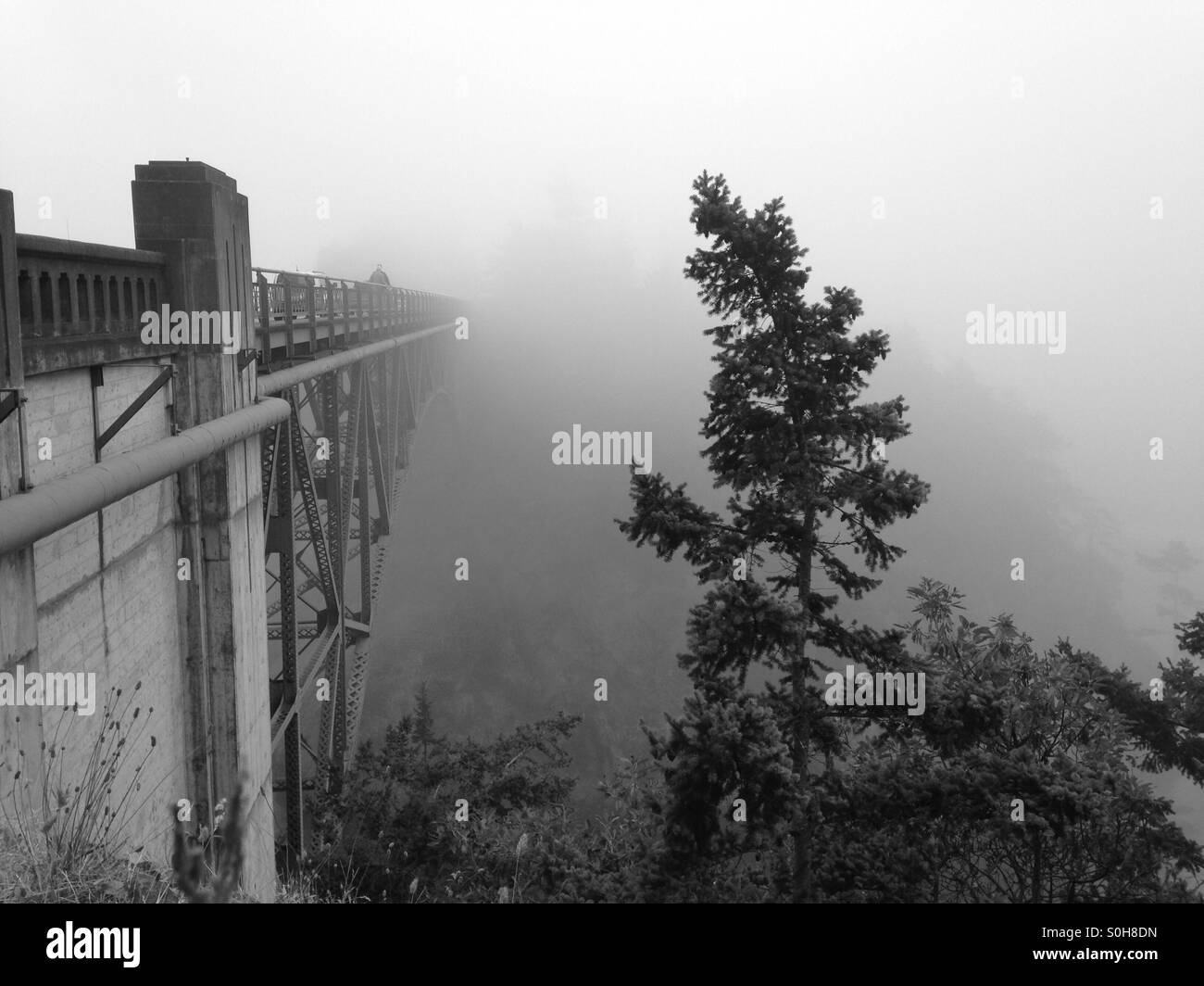 Foggy day in the Pacific Northwest. *Deception pass bridge Stock Photo ...