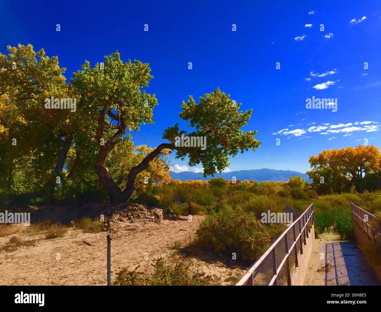 Sandía grande hi-res stock photography and images - Alamy