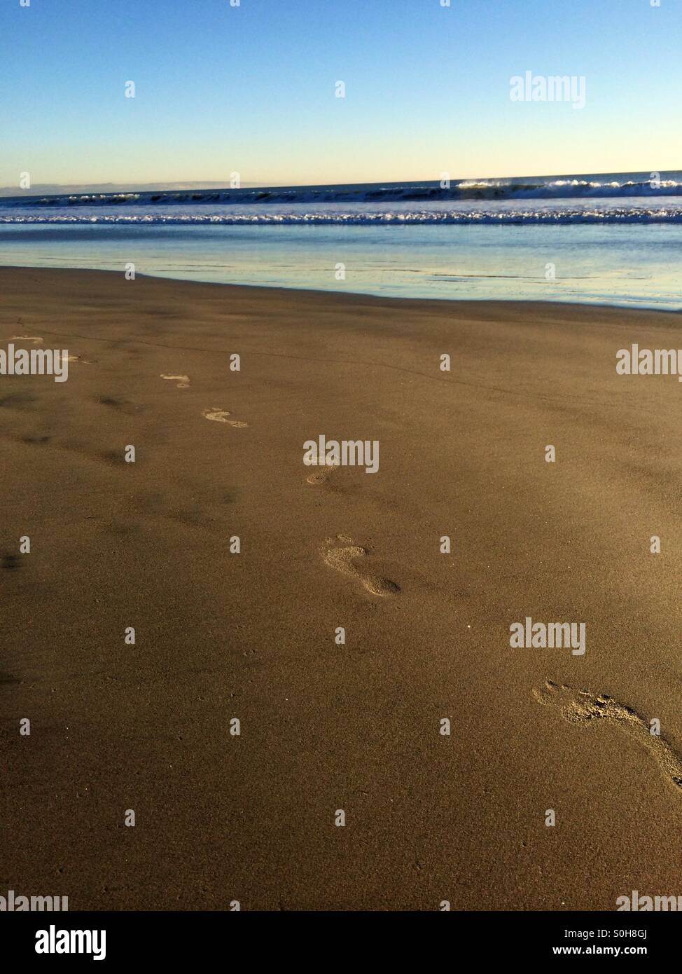 Make your own path Stock Photo - Alamy