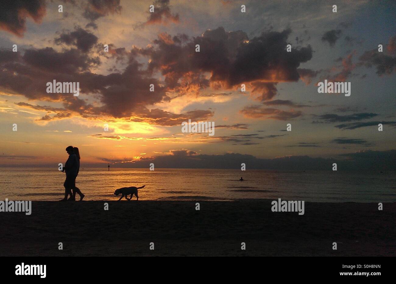 Walking A Dog On The Beach Stock Photos & Walking A Dog On The Beach ...