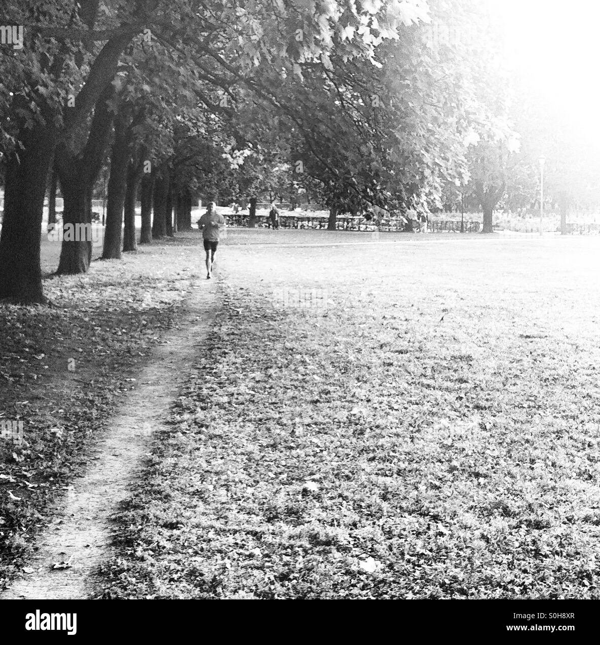 Running for victory Stock Photo - Alamy