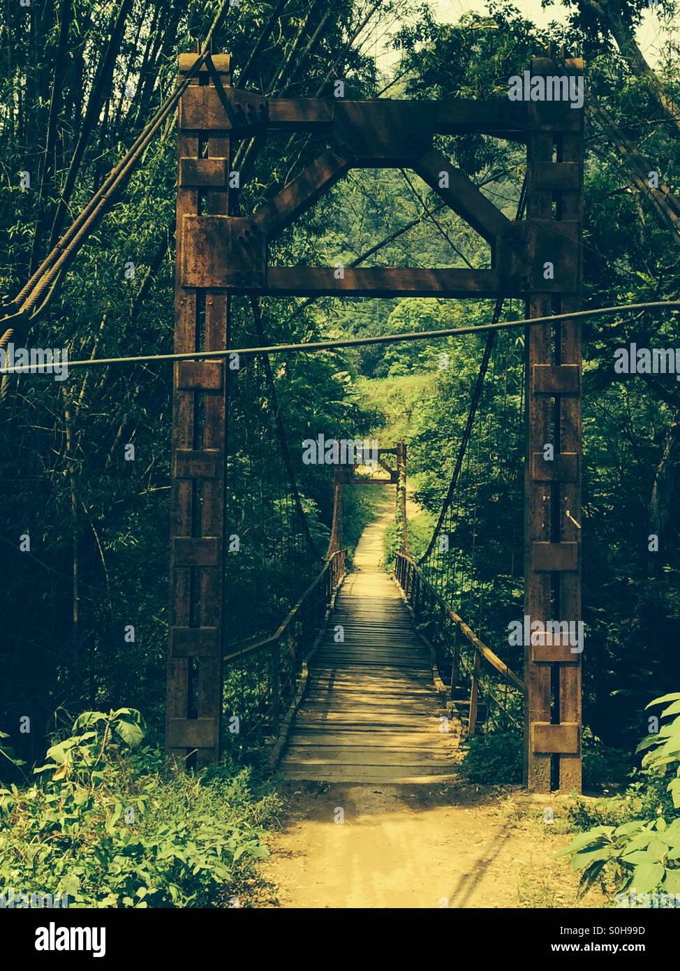 The nature bridge hi-res stock photography and images - Alamy