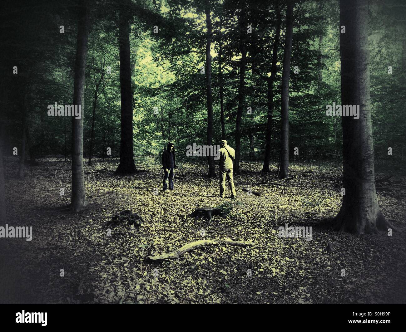 Photographer shooting man model in Forest Stock Photo - Alamy