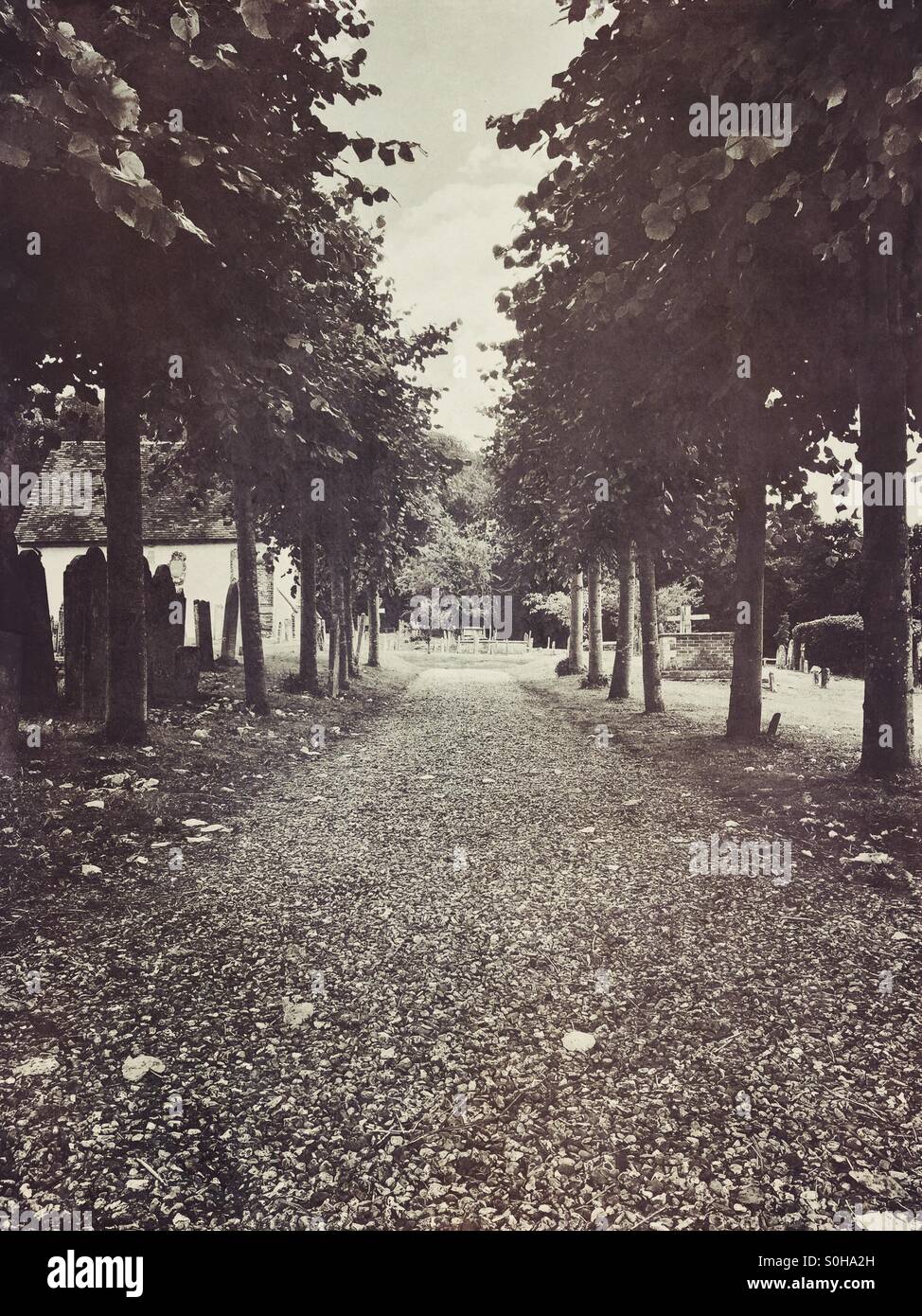 Path churchyard hi-res stock photography and images - Alamy