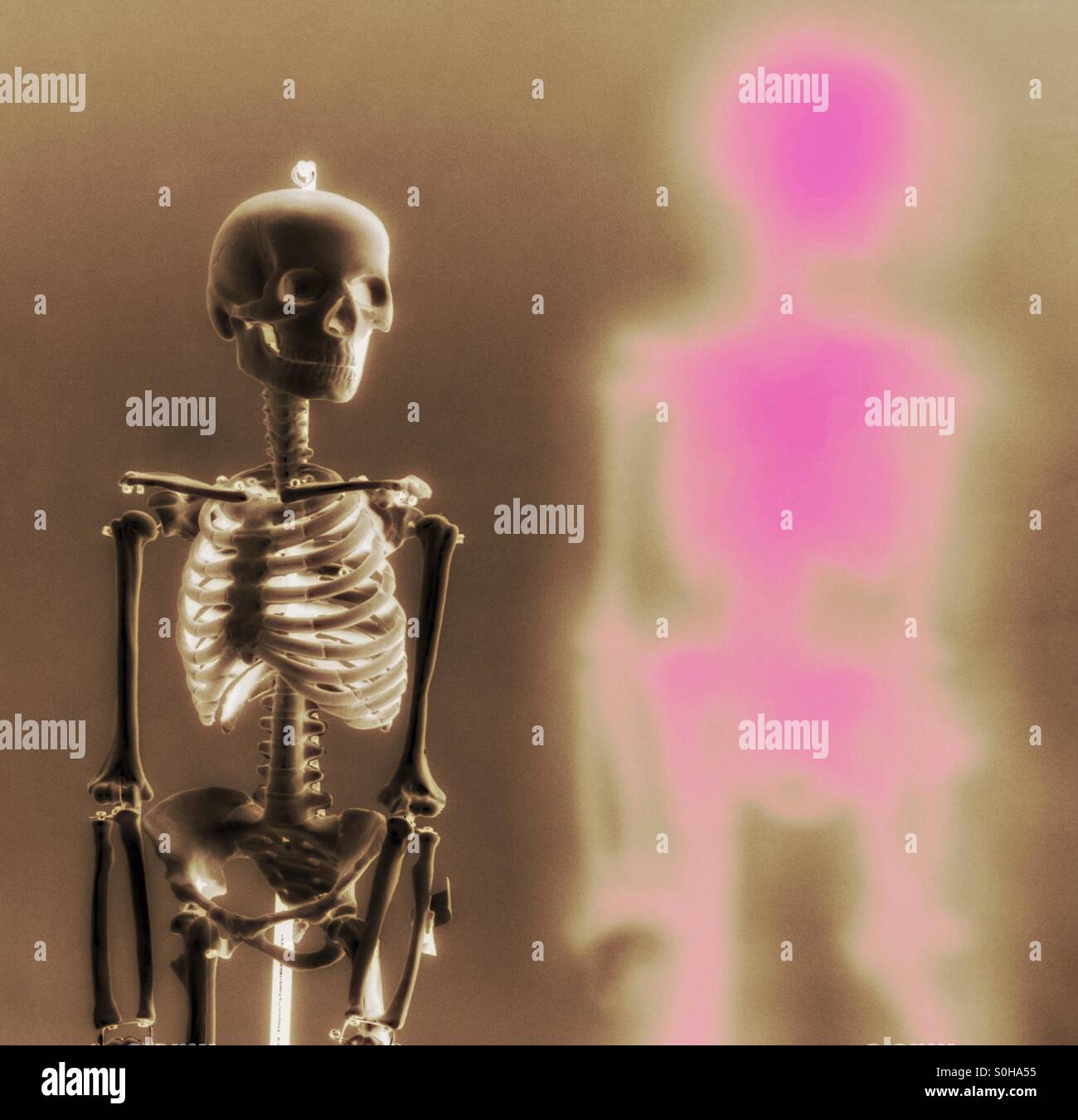 Horrific skeleton hi-res stock photography and images - Alamy