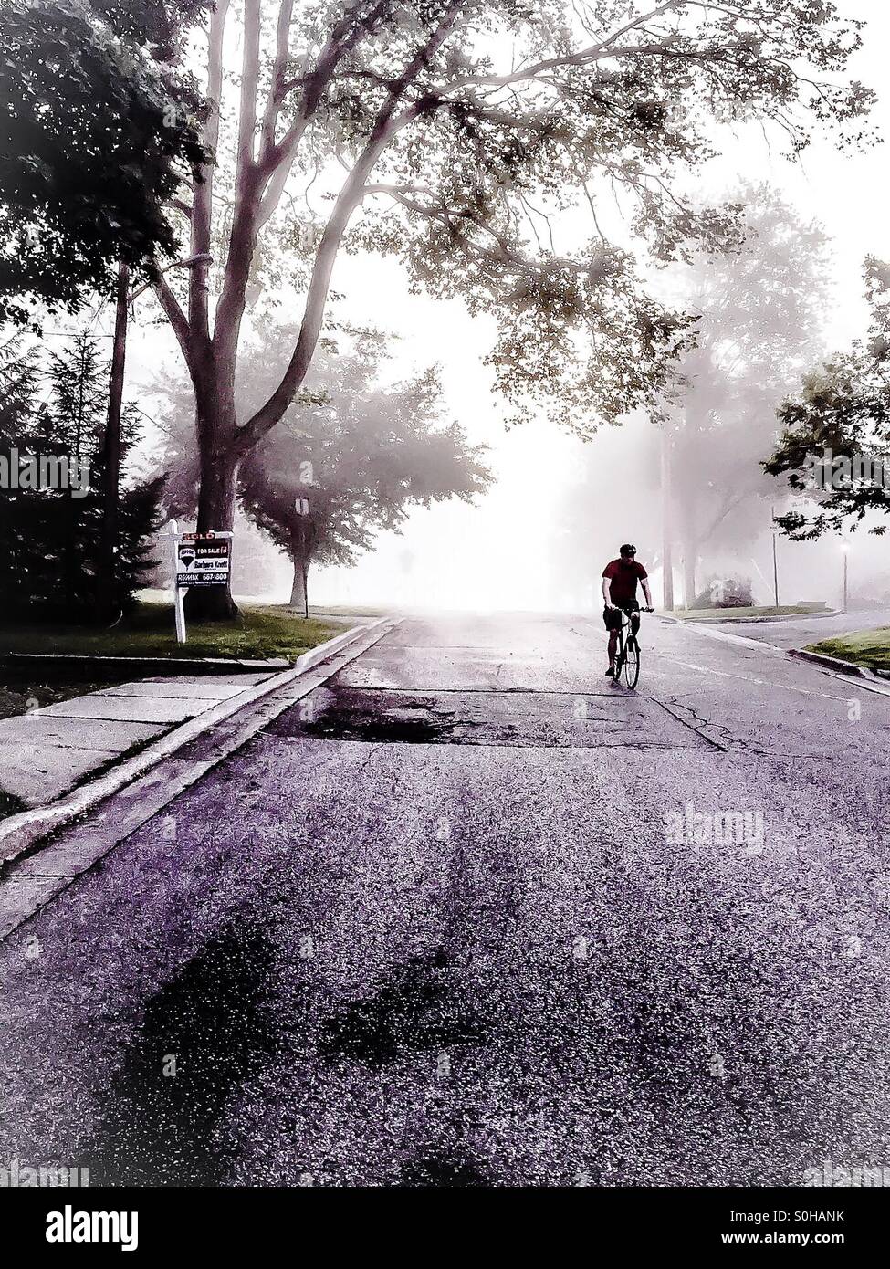 Through the mist Stock Photo - Alamy