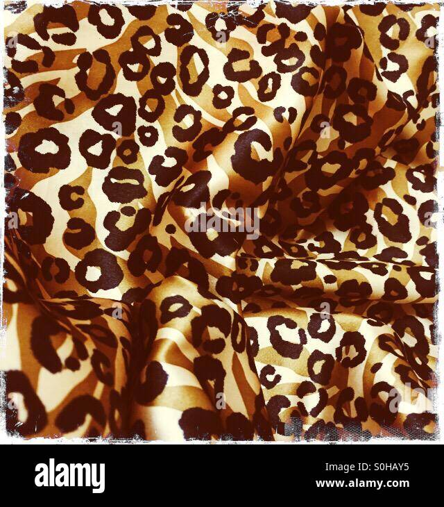 Leopard spots hi-res stock photography and images - Alamy